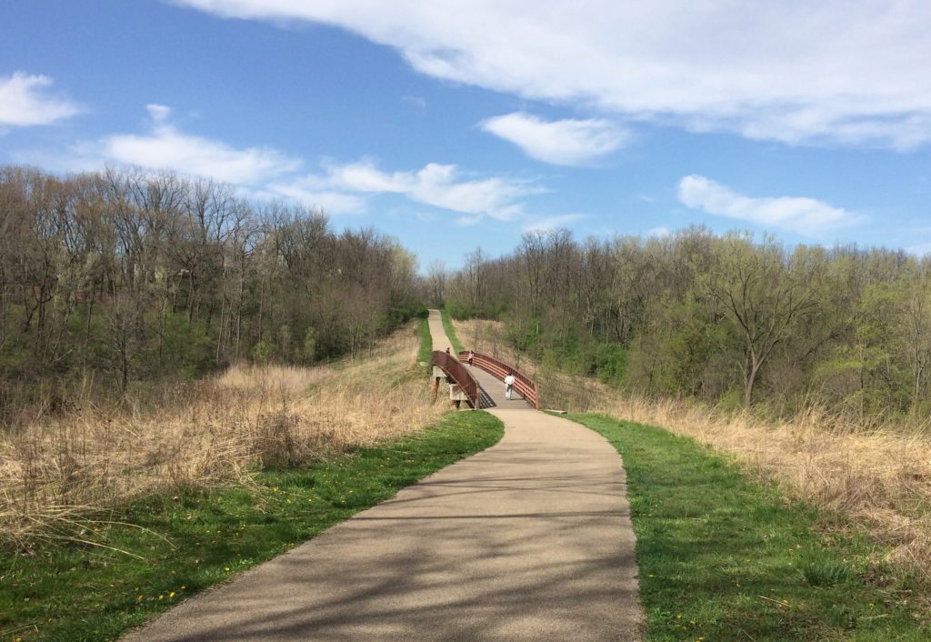 Raceway Woods Forest Preserve | Been There, Seen That
