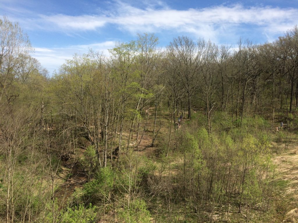 Raceway Woods Forest Preserve | Been There, Seen That
