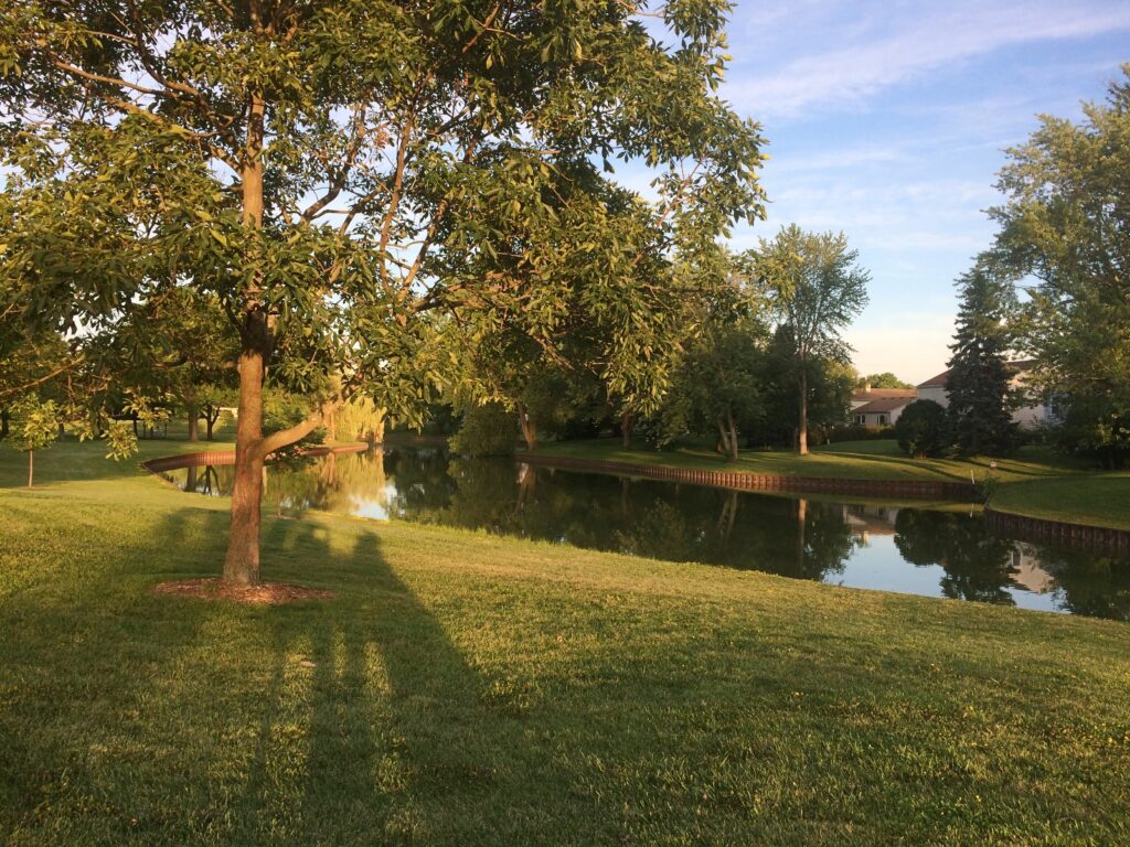 Gray Farm Park & Conservation Area | Been There, Seen That